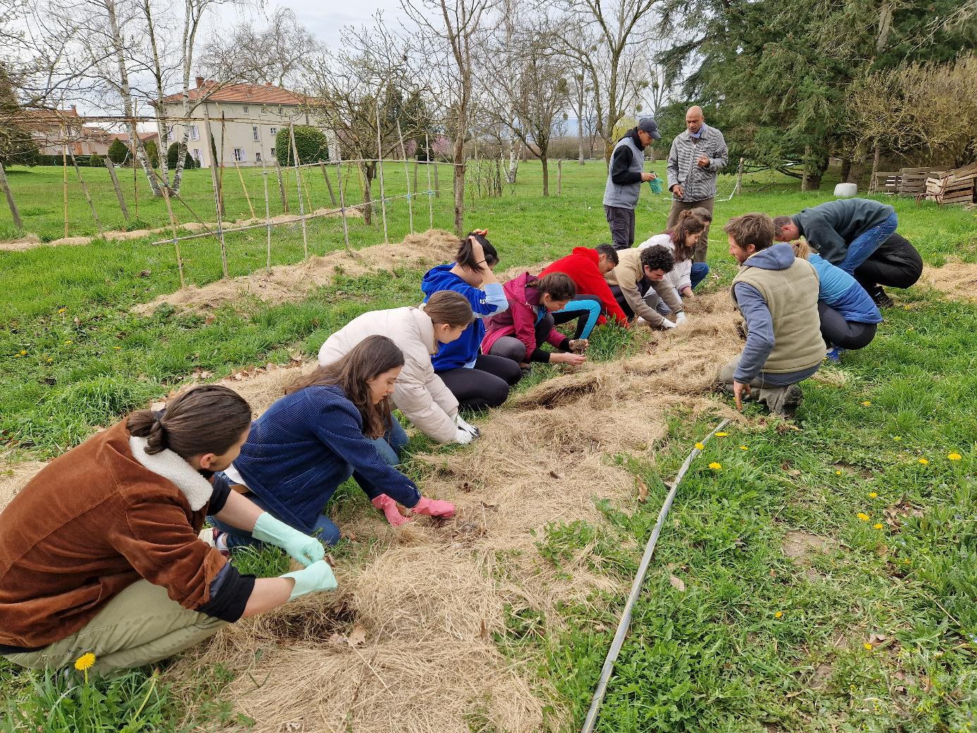 Workshop on seedbed preparation and the impact of livestock farming on ...